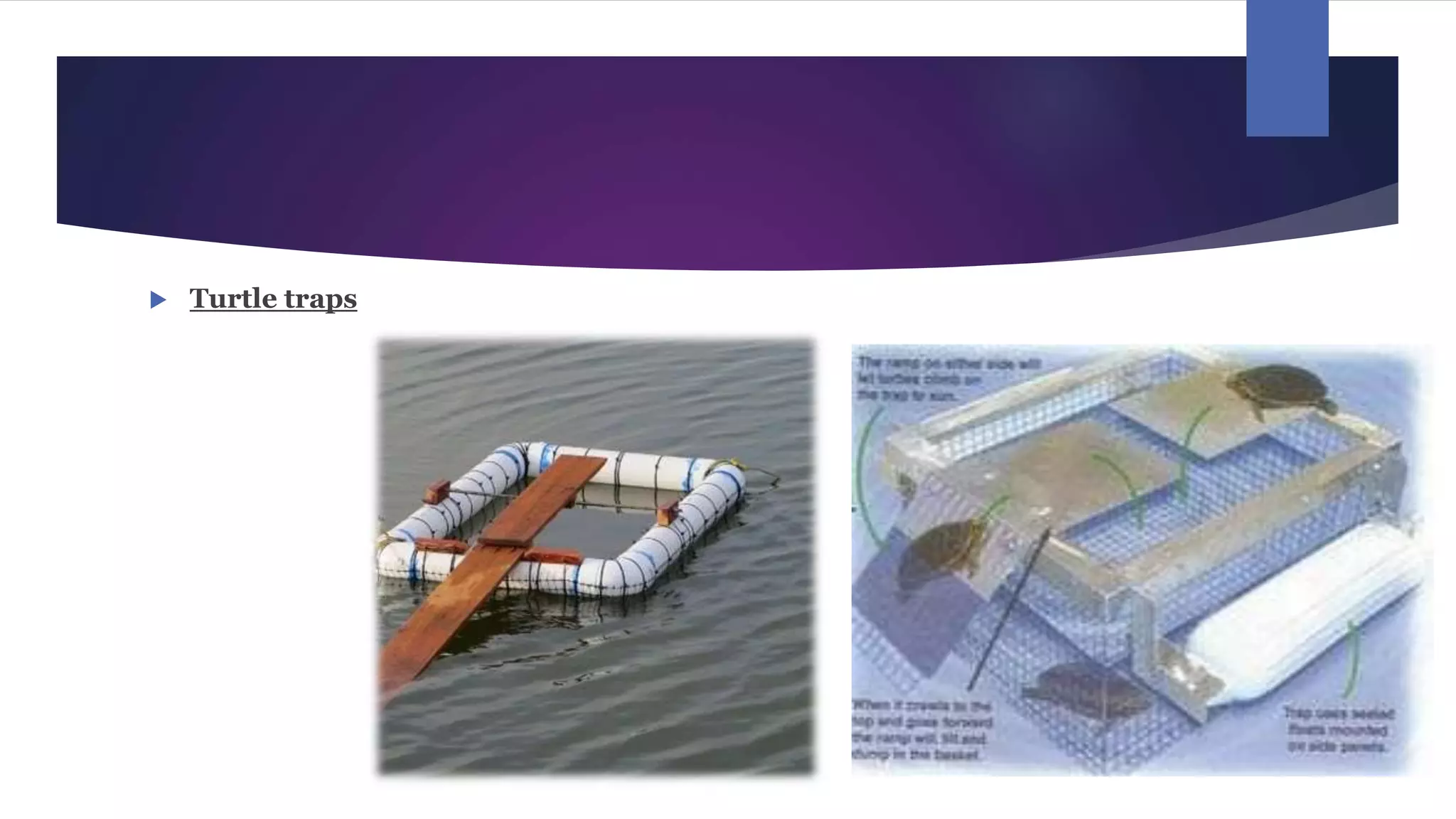 Ecofriendly fishing practices | PPTX