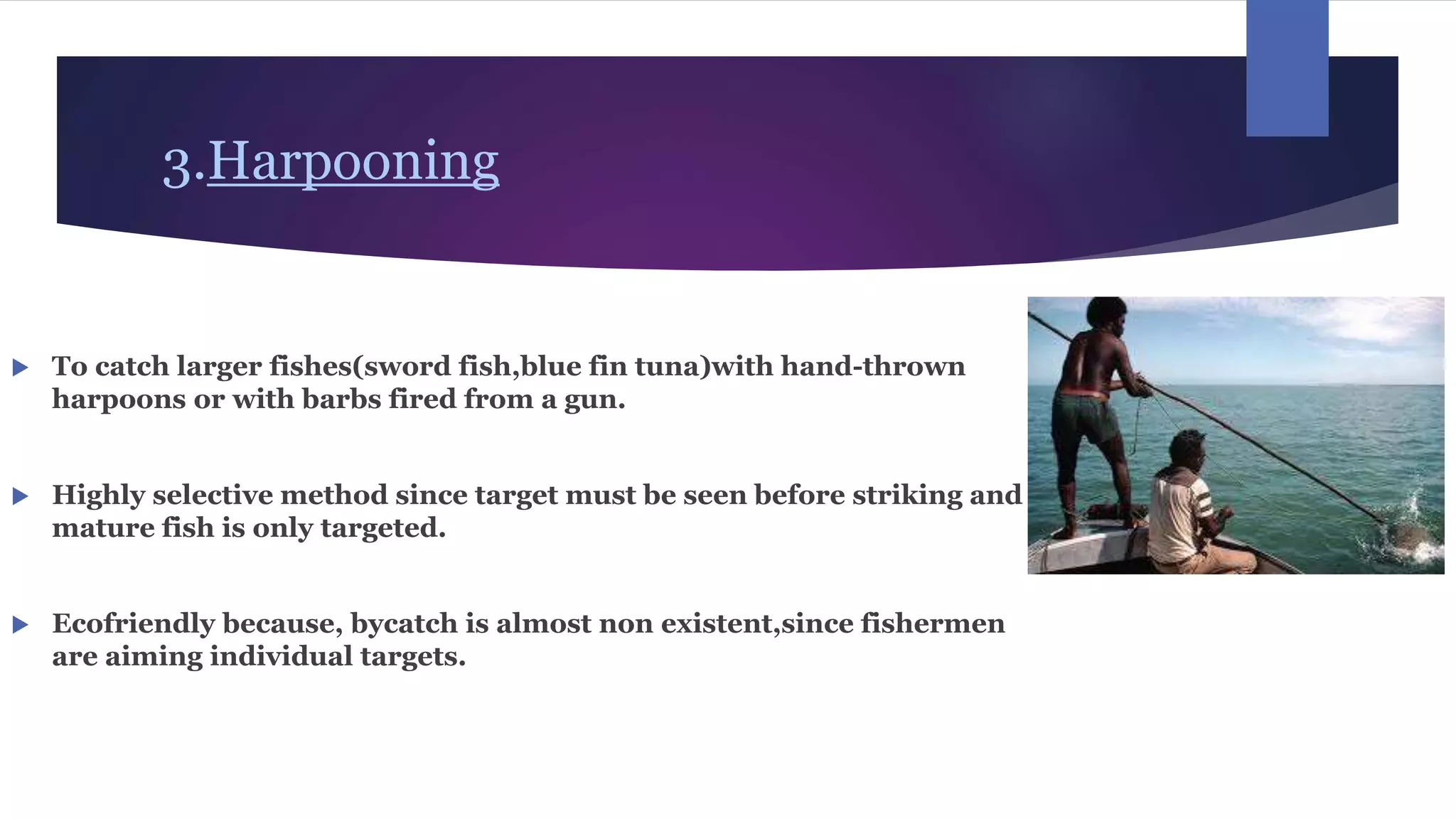 Ecofriendly fishing practices | PPTX