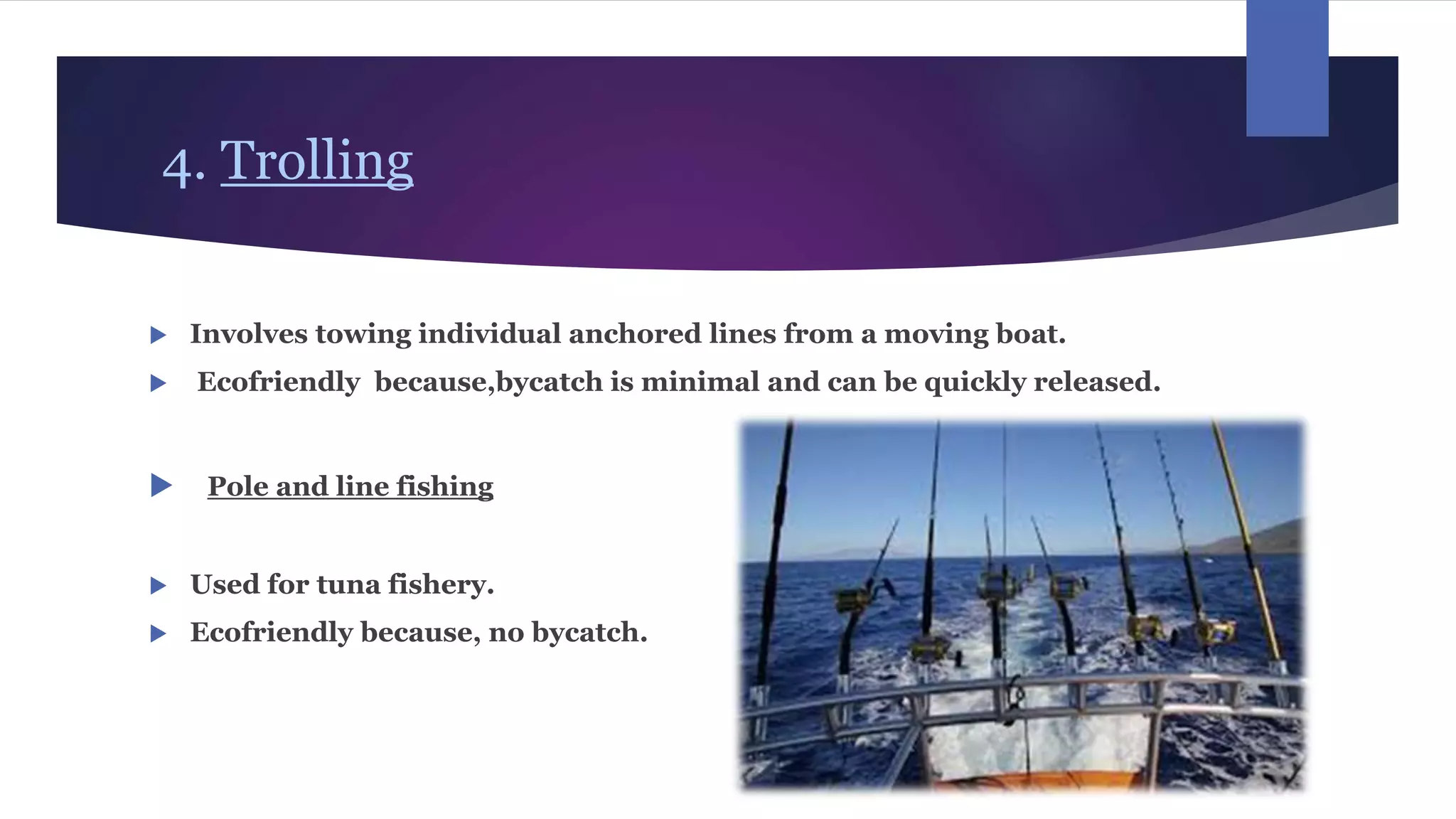 Ecofriendly fishing practices | PPTX