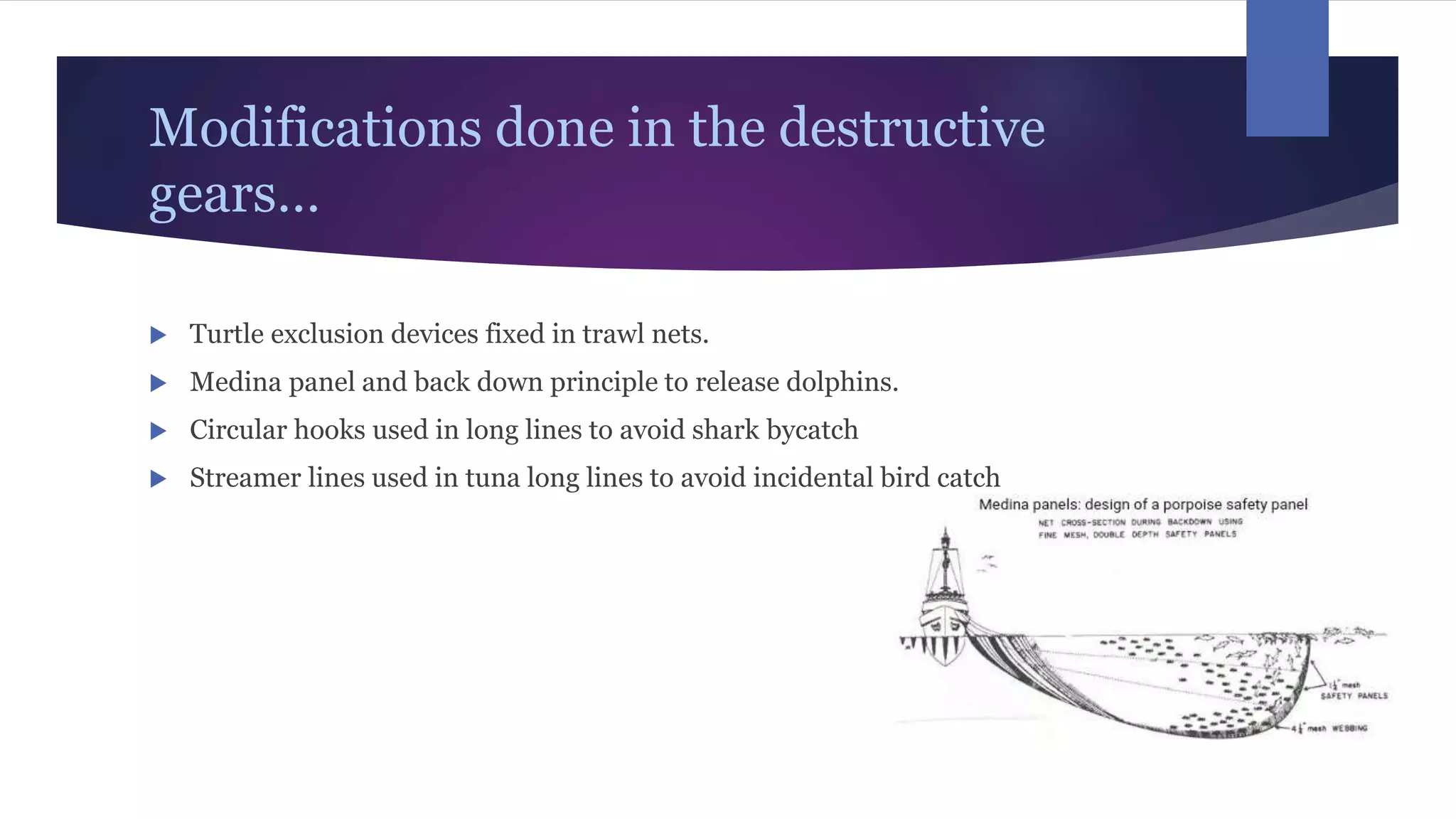 Ecofriendly fishing practices | PPTX