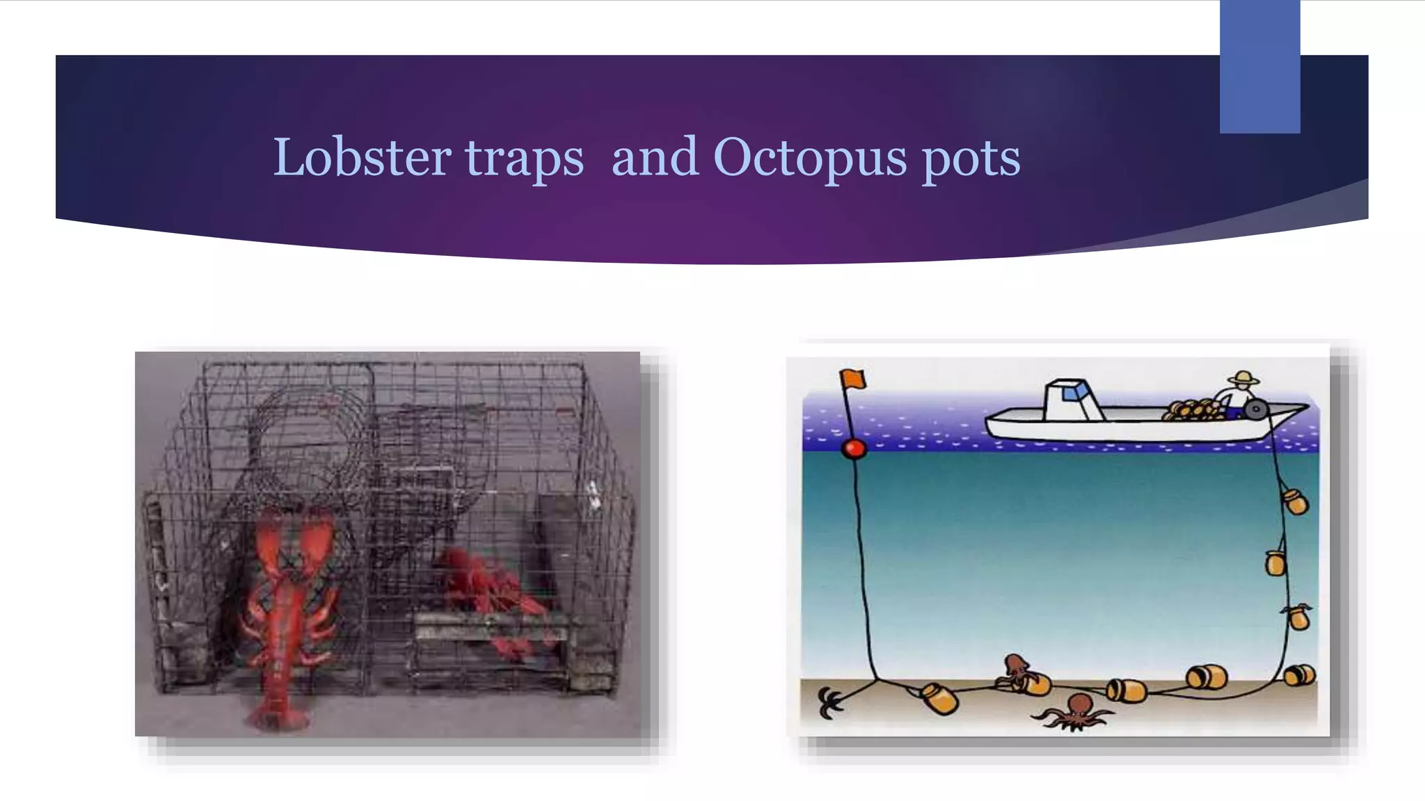 Ecofriendly fishing practices | PPTX