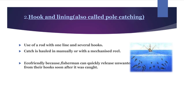 Ecofriendly fishing practices | PPTX | Zoos & Aquariums | Attractions