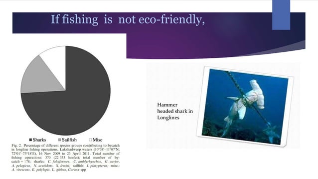 Ecofriendly fishing practices | PPTX | Zoos & Aquariums | Attractions