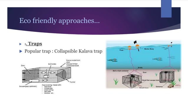 Ecofriendly fishing practices | PPTX | Zoos & Aquariums | Attractions