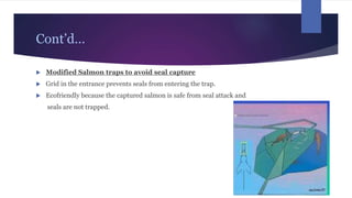 Ecofriendly fishing practices | PPTX