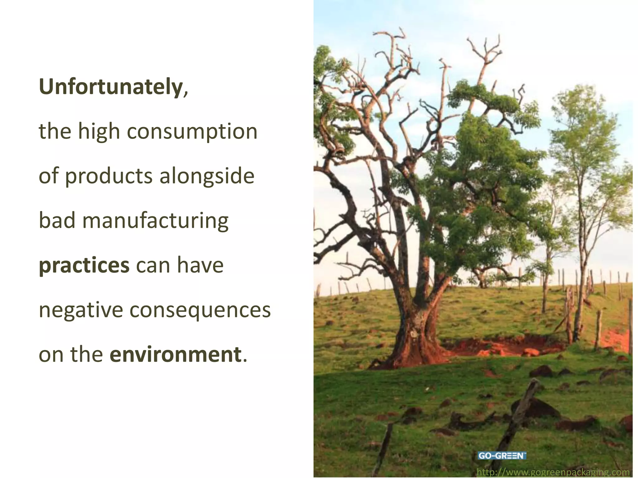 Eco Friendly Food Packaging | PPTX