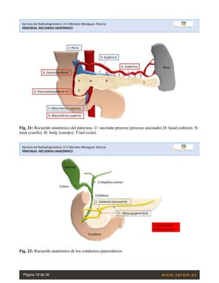 Ecografía de abdomen para principiantes.pdf