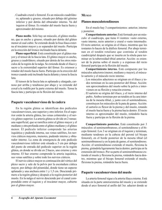 Ecografía Del Aparato Locomotor | PDF