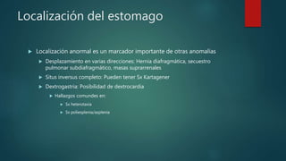 Ecografía obstétrica del ad | PPTX