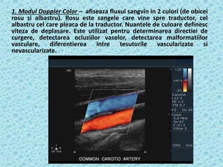 Ecografe si ultrasunete.pptx