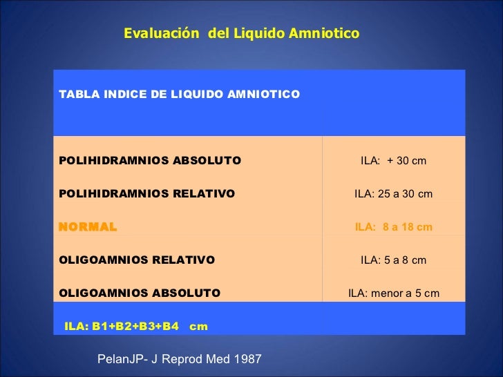 Ecografia 3 er trimestre