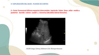 Comprehensive Abdominal Ultrasound: Liver, Gallbladder, and Biliary ...