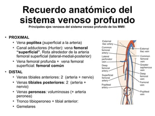 ECOGRAFIA CLINICA VASCULAR EEII. exploracion venosapptx | PPTX
