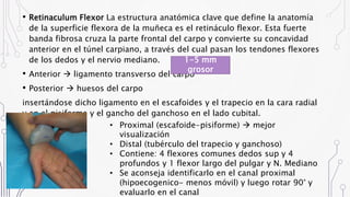 Ecografia de muñeca y mano.pptx