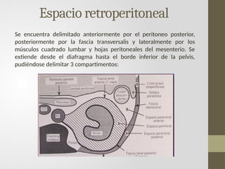 Ecografia de retroperitoneo ppt.pptx .. .. | PPTX