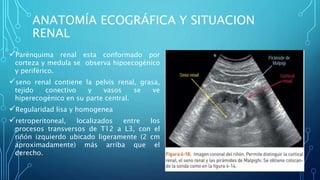 ECOGRAFIA RENAL.pptx