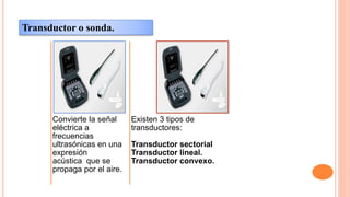 Ecografia y evaluacion seminal. | PPTX
