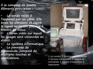 Ecographie | PPTX