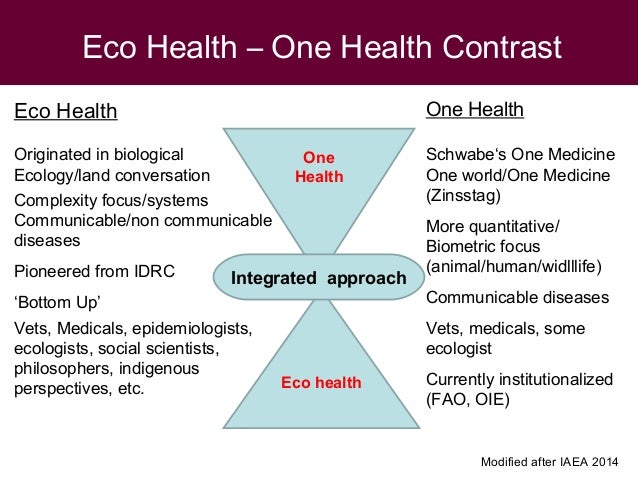 Ecohealth perspectives: From Ecohealth theory to practice (case studi…