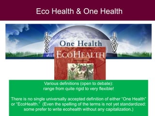 Ecohealth and One Health research in Southeast Asia: Examples ...