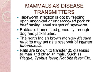 Eco imp. of mammals | PPTX