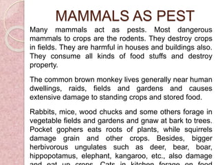 Eco imp. of mammals | PPTX