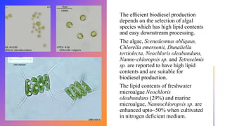 Eco imp of algae.pptx