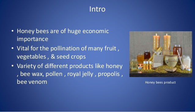 Economic importance og honey bees Economic importance og honey bees