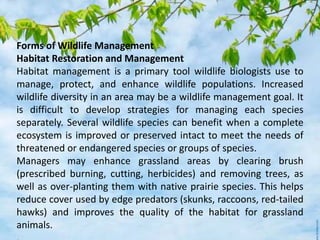 Ecoinformatics application in wildlife conservation and management | PPTX