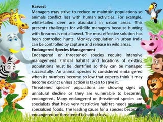 Ecoinformatics application in wildlife conservation and management | PPTX