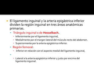 Ecografía inguinal. | PPTX
