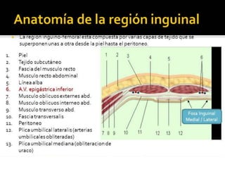 Ecografía inguinal. | PPTX