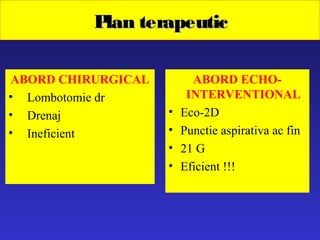 Ecografia interventionala in drenajul colectiilor abdominale | PPT