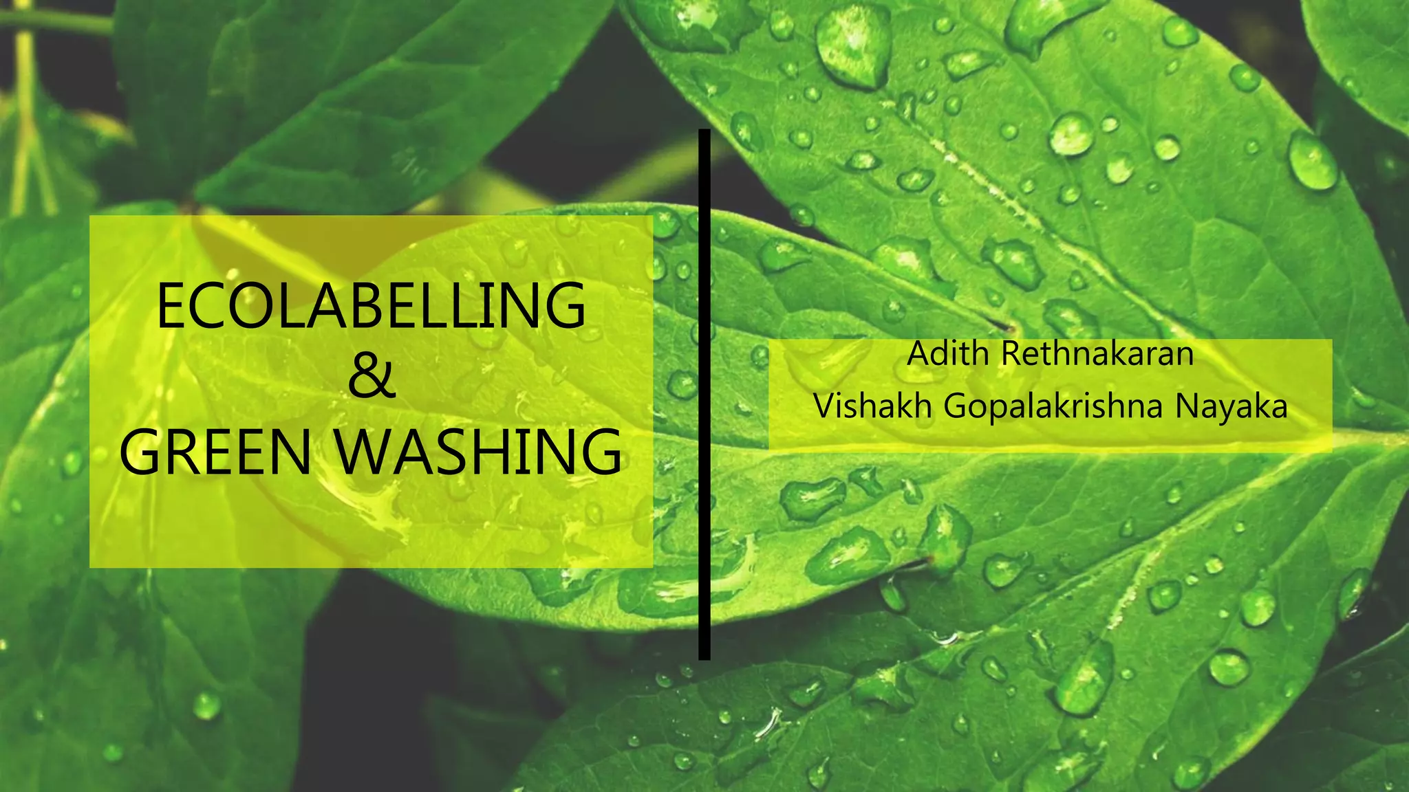 Ecolabelling and greenwashing | PPT