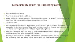 Eco friendly cotton production | PPT