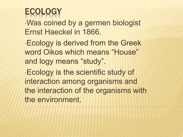 Ecolgy and it's branches | PPTX