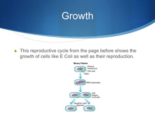 E coli | PPTX