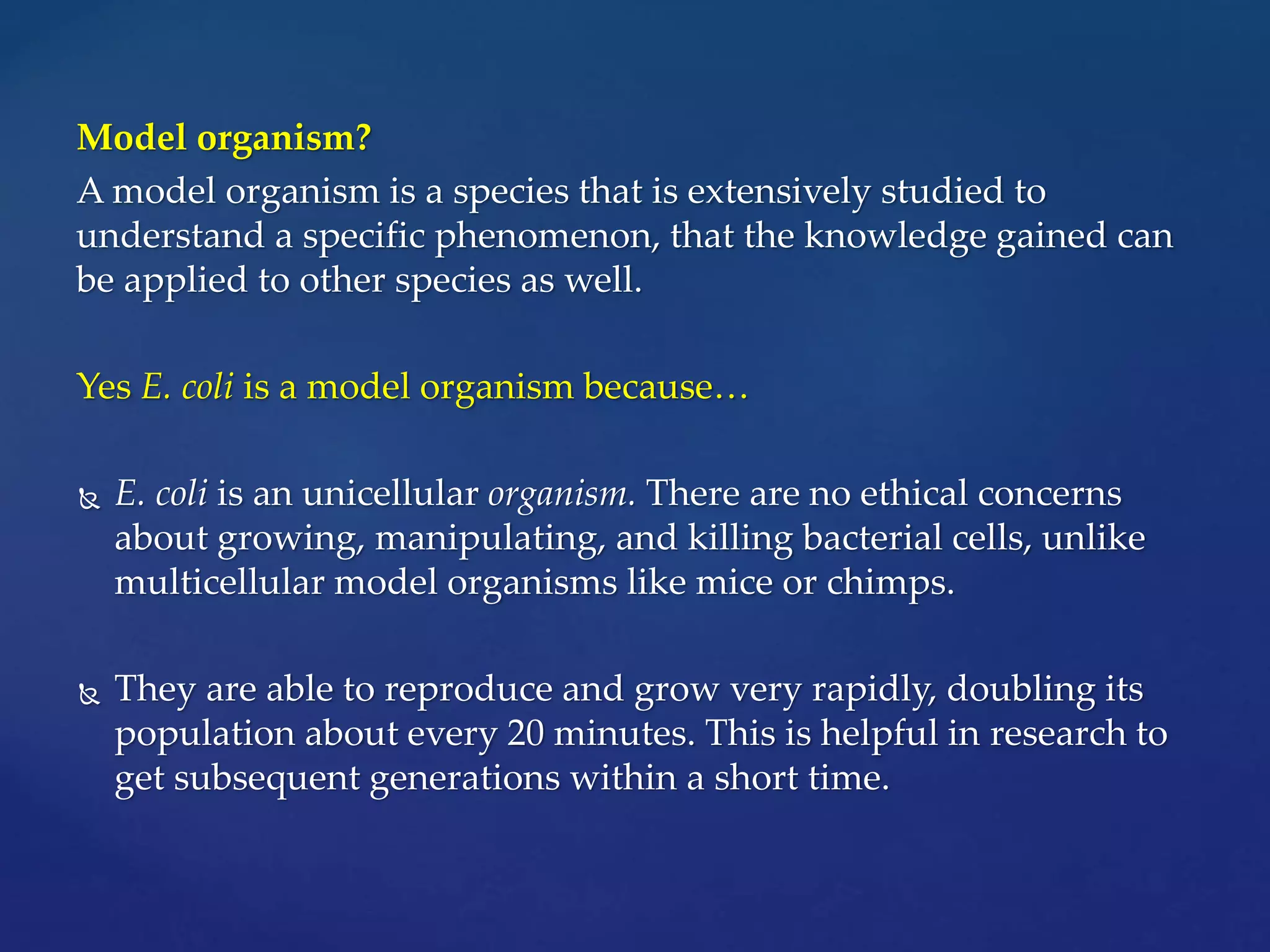 E. coli as a model organism in research | PPTX