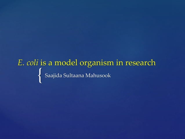 E. coli as a model organism in research | PPTX | Biotech and Biomedical ...