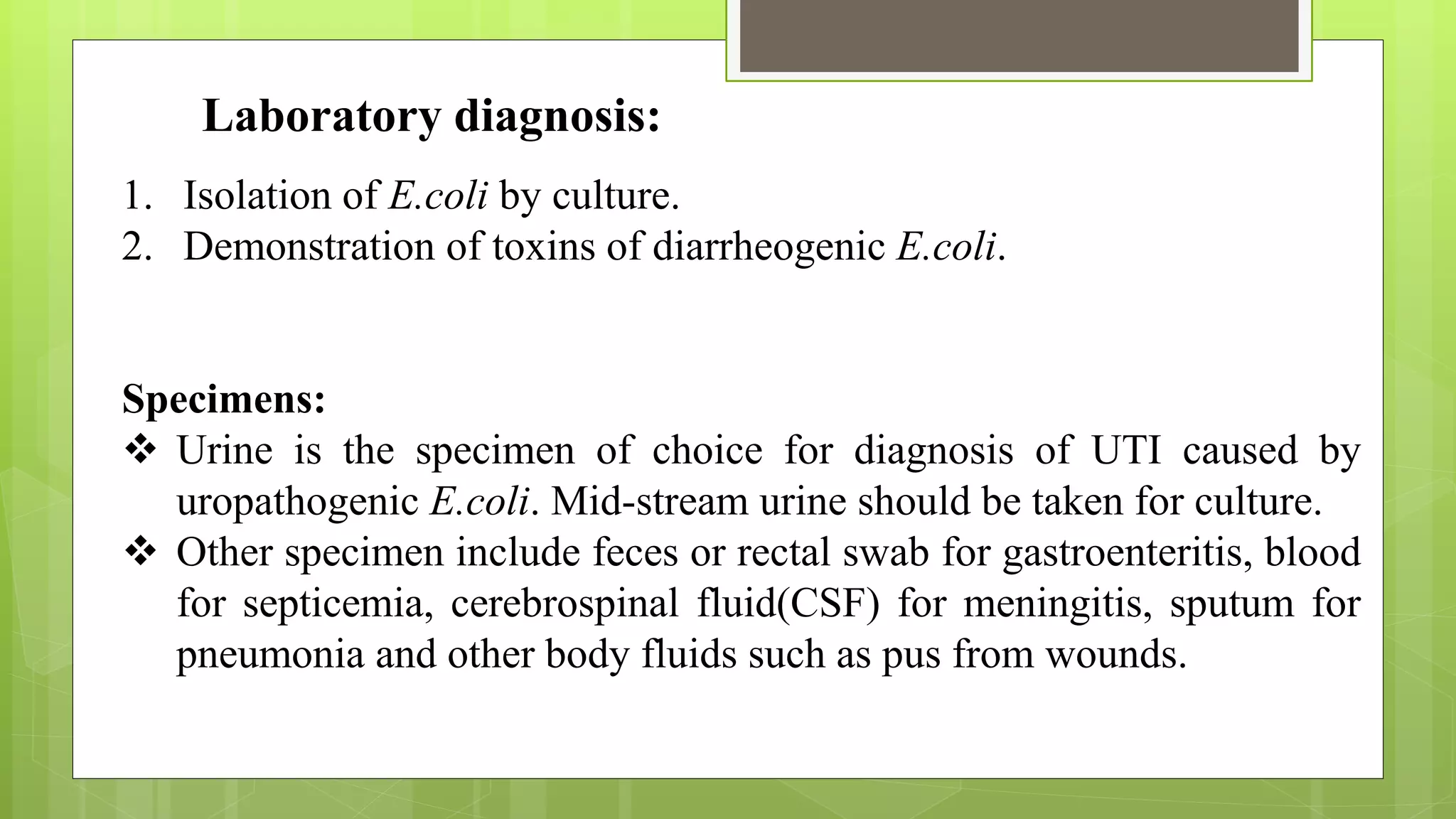 E coli | PPTX