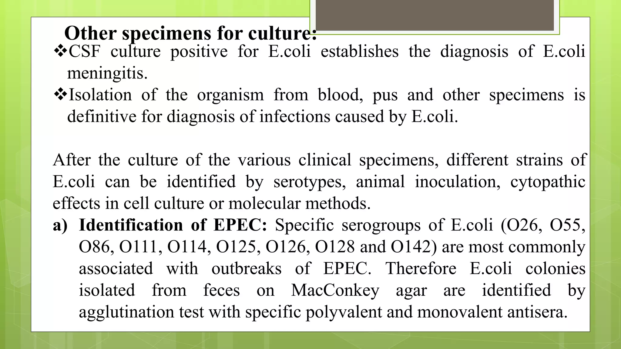 E coli | PPTX