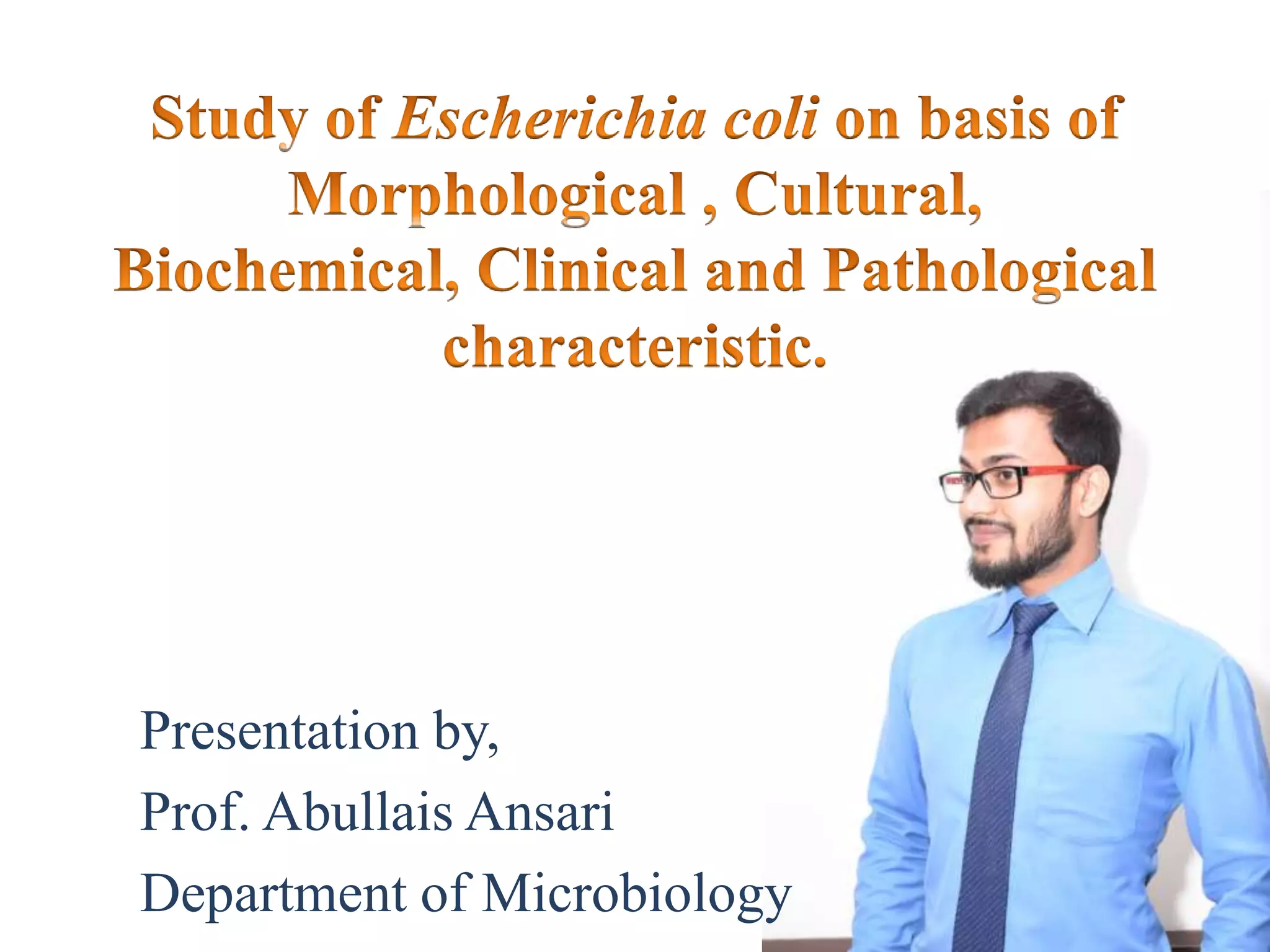 Study of E. coli on basis of Morphological, Cultural, Biochemical ...