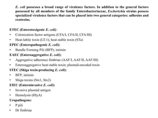Study of E. coli on basis of Morphological, Cultural, Biochemical ...