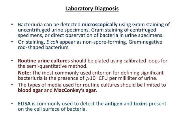 Study of E. coli on basis of Morphological, Cultural, Biochemical ...