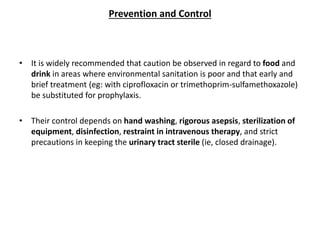 Study of E. coli on basis of Morphological, Cultural, Biochemical ...