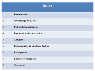 Study of E. coli on basis of Morphological, Cultural, Biochemical ...