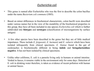 Study of E. coli on basis of Morphological, Cultural, Biochemical ...
