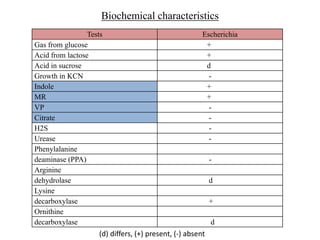 Study of E. coli on basis of Morphological, Cultural, Biochemical ...