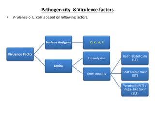 Study of E. coli on basis of Morphological, Cultural, Biochemical ...