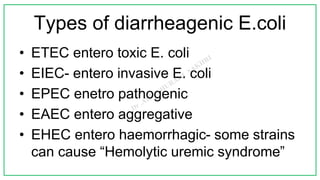 E coli - Microbiology | PPT